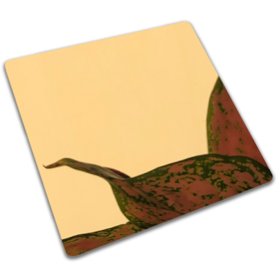 Mirror Polished - Armour Cladding Systems